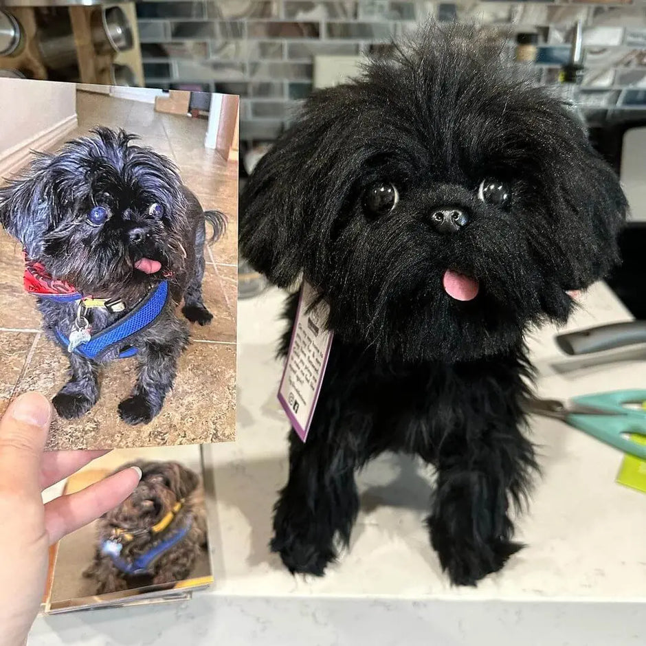 Custom Pet Portraits & Memorial Art – Paw-Pixie